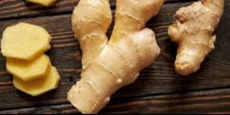 Fungal Outbreak Drives High Kadjebi Ginger Prices as Farmers Abandon ...